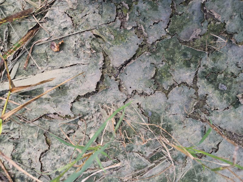 Surface Ground Crack Due To the Dryness Weather. Stock Photo - Image of ...
