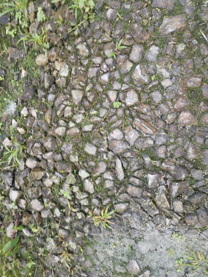 The Surface Ground Texture of Rural Pathway Made Up of Aggregated ...