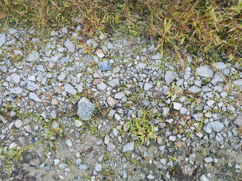 The Surface Ground Texture of Rural Pathway Made Up of Aggregated ...