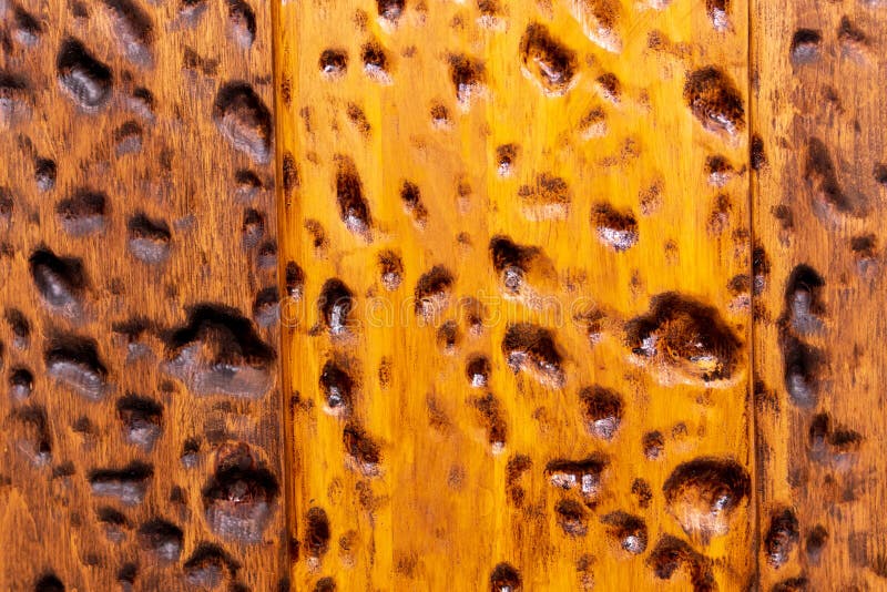 A Surface with Holes. Use for the Concept and the Concept of ...