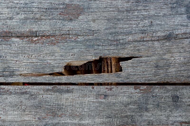 Surface of the house wall. stock photo. Image of wallpaper - 205223542