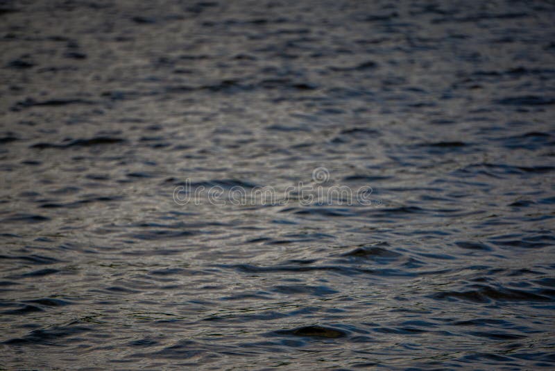 Surface of a Lake stock image. Image of choppy, swimming - 94157137