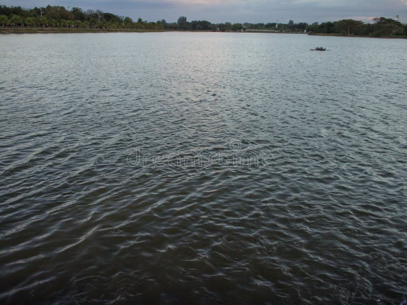 Surface Lake Small Wave Birds Flying Stock Photos - Free & Royalty-Free ...