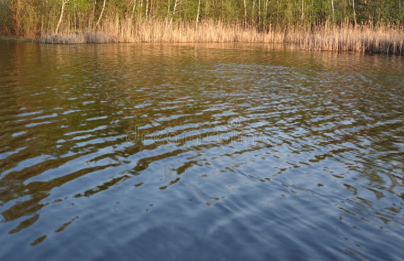 Surface of lake water stock photo. Image of resources - 115133294