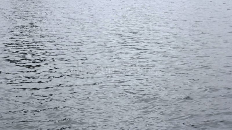 The Surface of the Lake the Wind and Waves, the Movement Stock Video ...