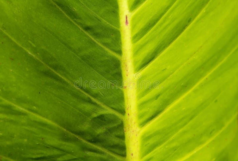 590 Concave Curve Stock Photos - Free & Royalty-Free Stock Photos from ...