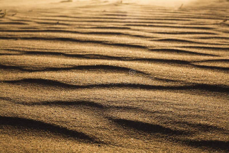 Surface Level Shot of the Desert and the Wind Pattern on the Sand Stock ...
