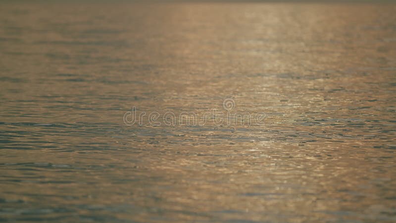 Surface with Light Reflection and Water Ripple Patterns. Running Ripple ...