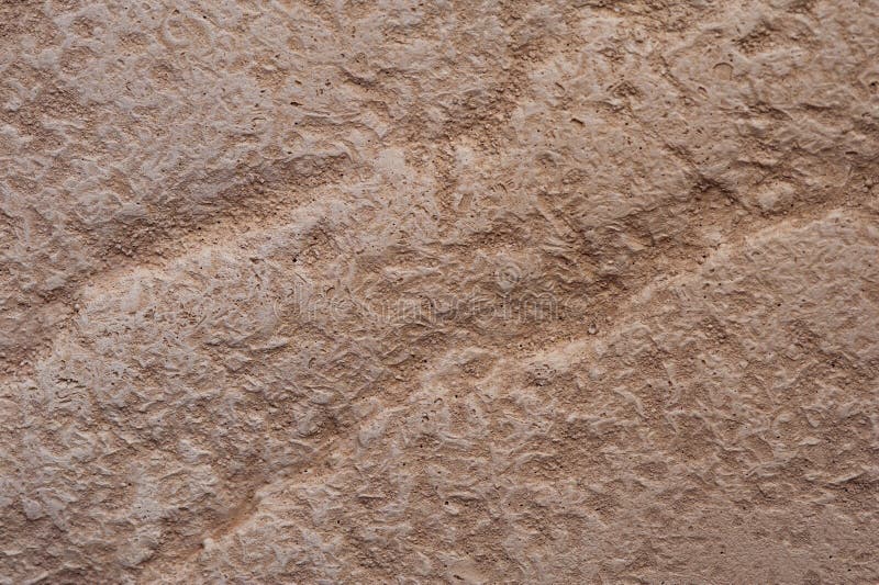 Surface Texture of the Limestone Stock Image - Image of hard, empty ...