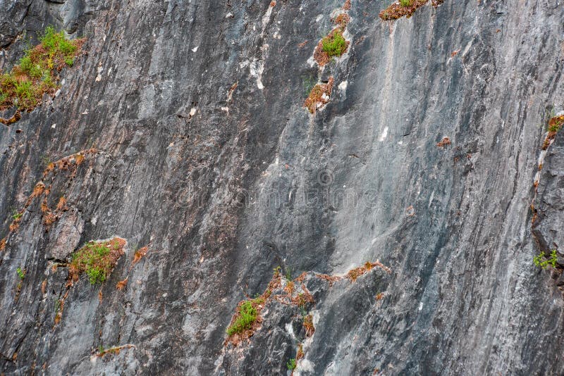 The Surface of a Steep Rock is Close Stock Photo - Image of steep ...