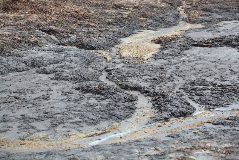 Surface of mud stock image. Image of land, horizontal - 55923365