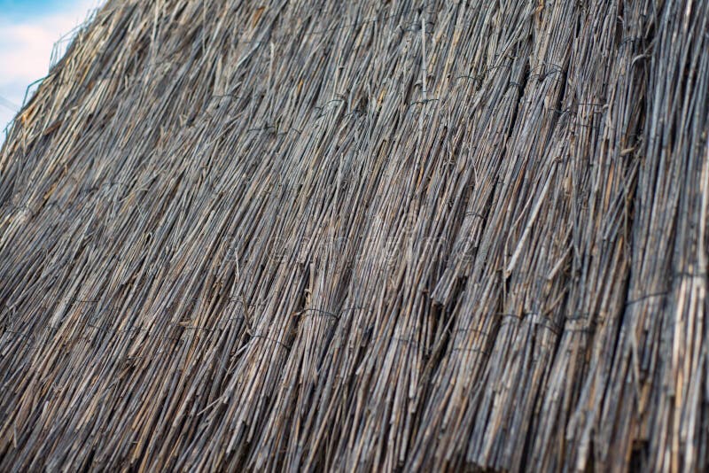A Surface of Neatly Laid Flat Straw Stock Photo - Image of decor ...
