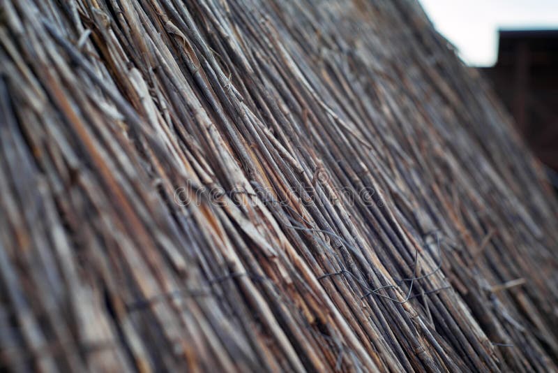 A Surface of Neatly Laid Flat Straw Stock Photo - Image of pattern ...
