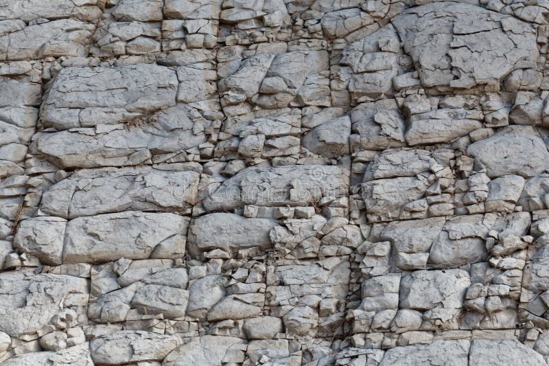 The Surface of a Nodular Limestone Stock Image - Image of skeletal ...