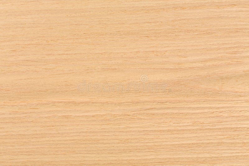 Solid Beech Texture