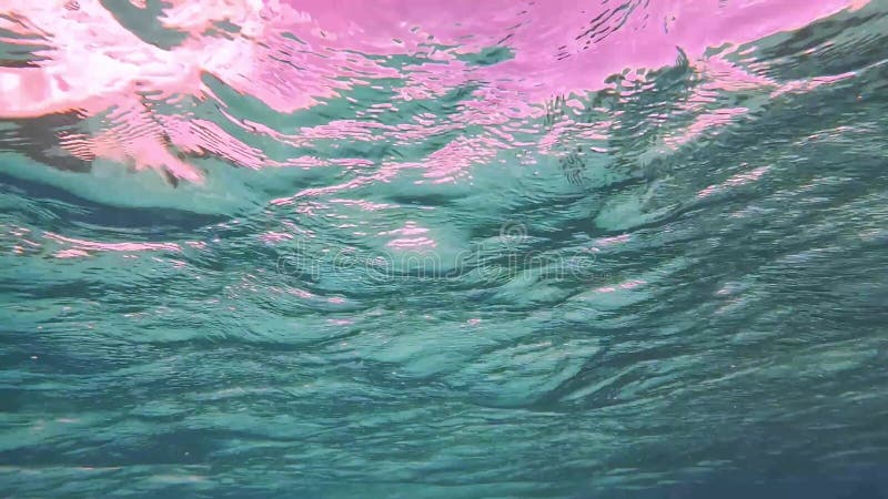 The Surface of the Ocean Looking Up from Underwater Stock Video - Video ...