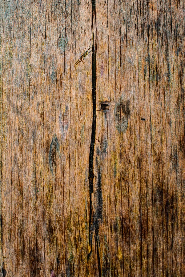 Surface of an Old Board with a Crack on a Sunny Day Stock Photo - Image ...