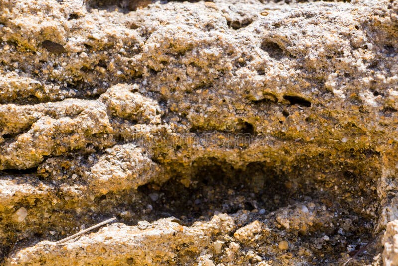 Old Rock Texture Wild Background Stock Image - Image of backgrounds ...