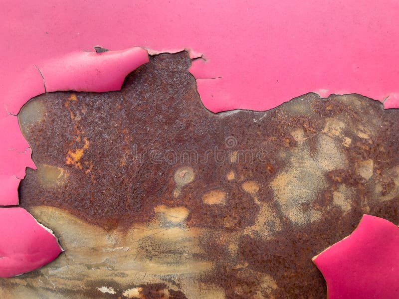 The Surface of an Old Steel Sheet. Stock Image - Image of plant, organ ...