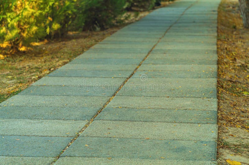 Surface of Pedestrian Walking Path from Low Angle with Perspective ...