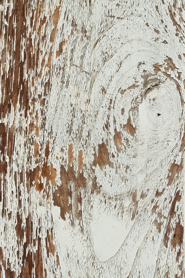 Surface Peeling Paint Peeling Stock Image - Image of backdrop, aged ...