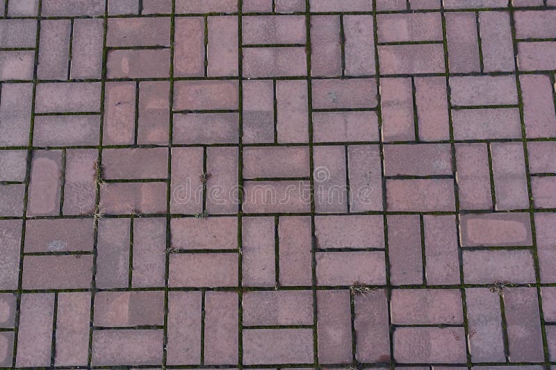 Surface Pink Concrete Pavement Double Basket Weave Layout Stock Photos ...