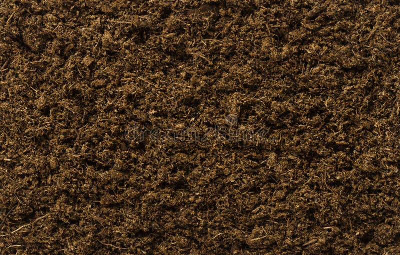 Surface Plane De Sol De Mise En Pot Image stock - Image du gazon ...