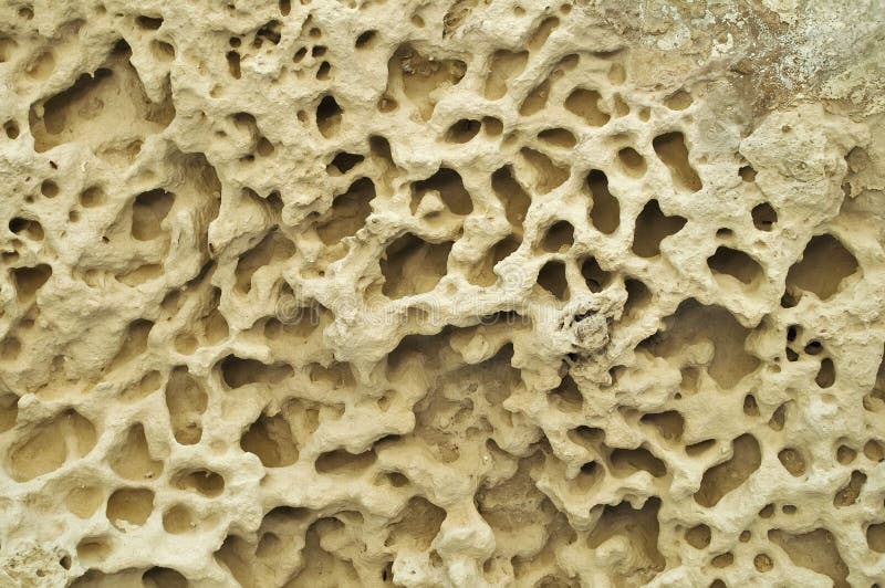 Surface Poreuse De La Roche Image stock - Image du bloc, craie: 16649105