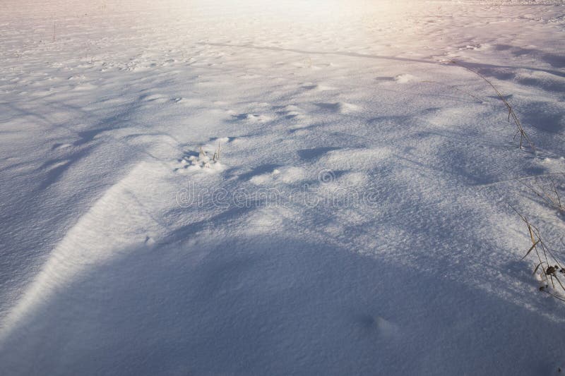 Surface of Pure White Snow with Bumps.Winter Image. Stock Image - Image ...