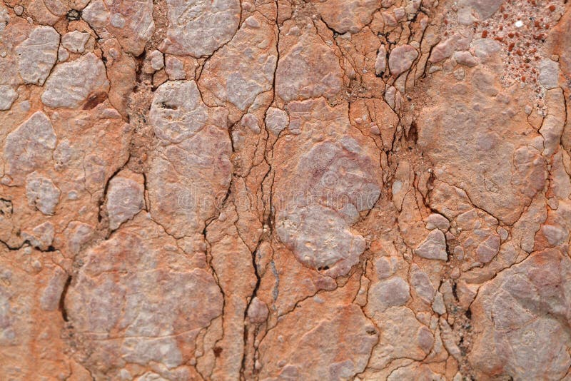 The Surface of a Nodular Limestone Stock Image - Image of skeletal ...
