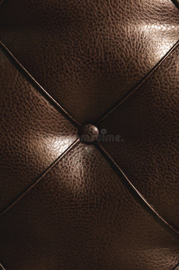 Surface of a Rhombic Split Skin with Buttons on the Back of the Bed ...