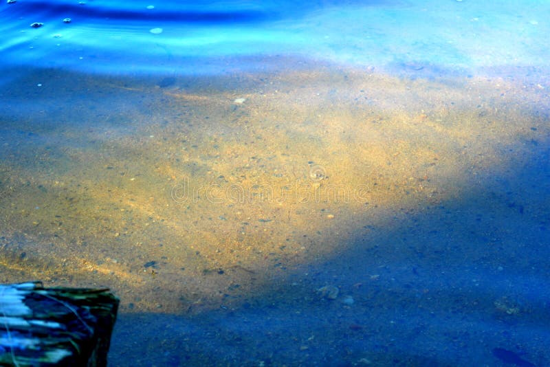 Through the Surface of the River You Can See the Bottom of the River ...