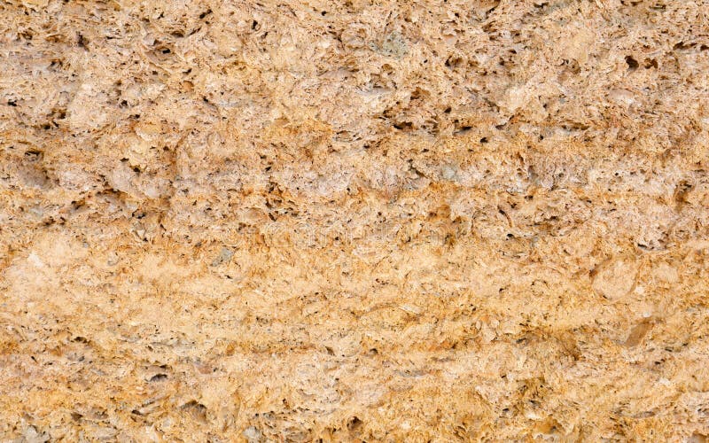 Natural Shell Rock Building Material. Blocks Made of Environmentally ...