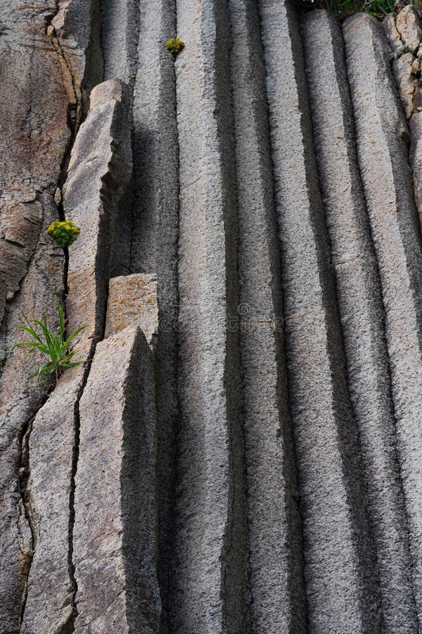 Surface of a Rock Wall Formed by Columnar Basalt Stock Image - Image of ...