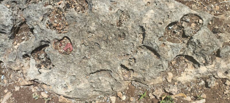 Surface of Rocks Buried in the Ground Stock Image - Image of surface ...