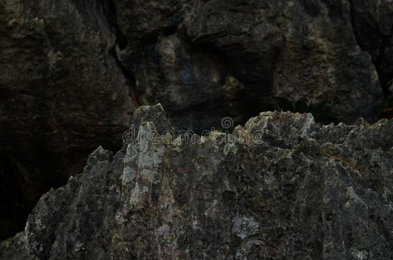 Surface Rocky Limestone, Gray Limestone and Background in Thailand ...