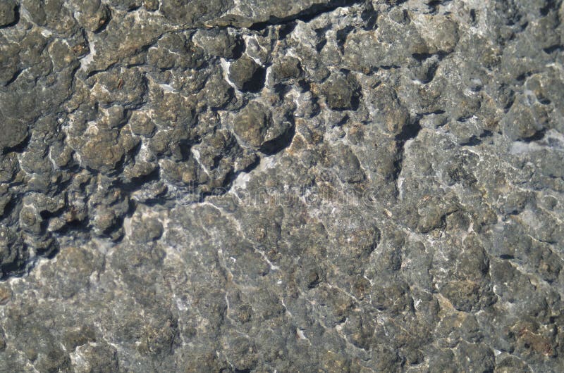 Surface Rocky Limestone, Gray Limestone and Background in Thailand ...