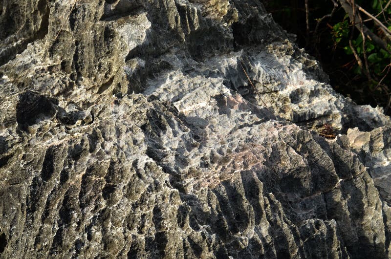 Surface Rocky Limestone, Gray Limestone and Background in Thailand ...