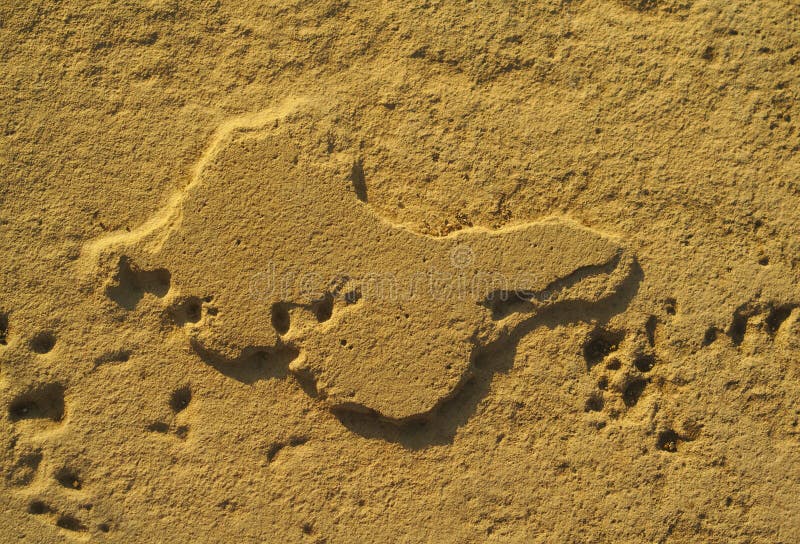 Rough yellow rock texture stock image. Image of surface - 153565703