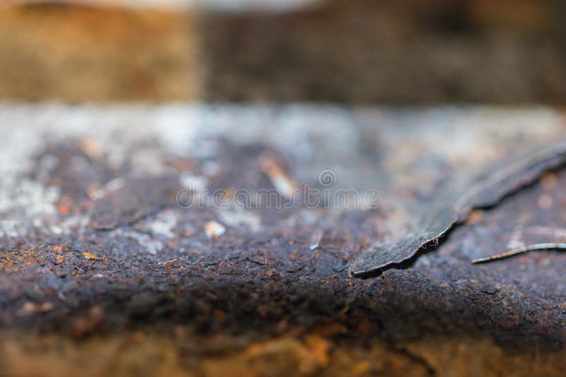 Surface Rust on the White Steel Surface. Stock Image - Image of ...