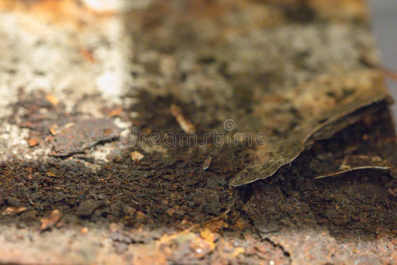 Surface Rust on the White Steel Surface. Stock Photo - Image of pattern ...