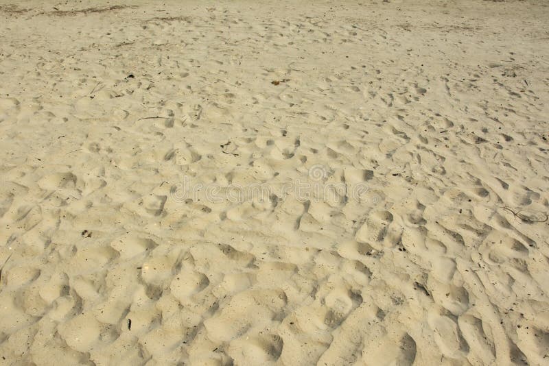 Surface of Sand on the Beach Stock Image - Image of pattern, texture ...