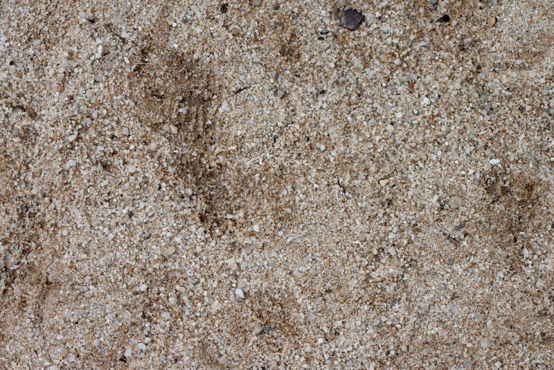 Surface sand in garden. stock image. Image of detail - 127820041