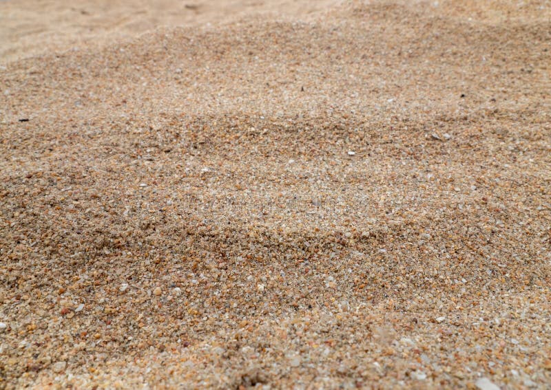 Surface Sand Gravel Small Fragments Broken Shells Beach Stock Photos ...