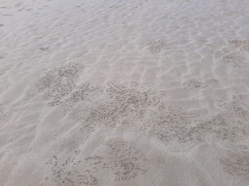 Surface of Sand Pattern on the Beach Made by Crab Stock Image - Image ...