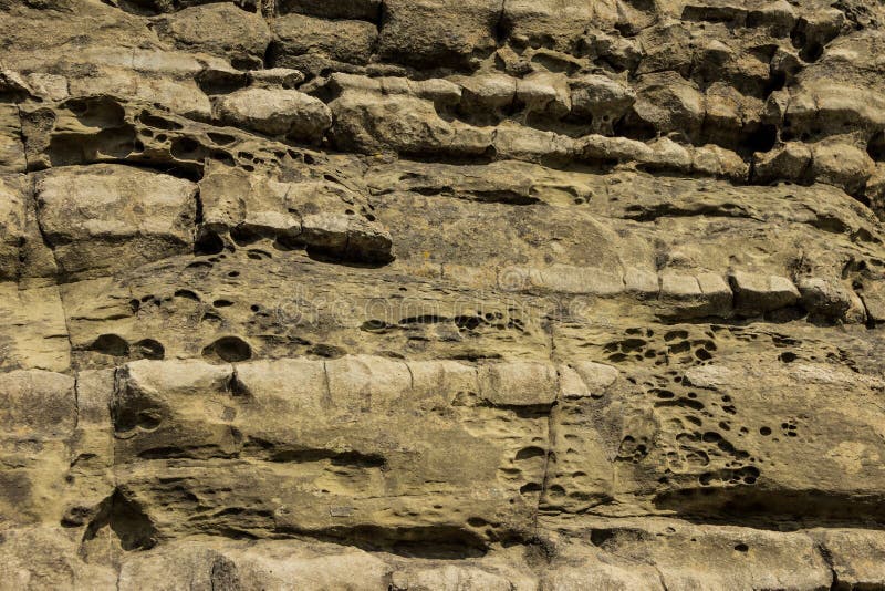 The Surface of a Sandstone Rock by the Sea Stock Photo - Image of aged ...