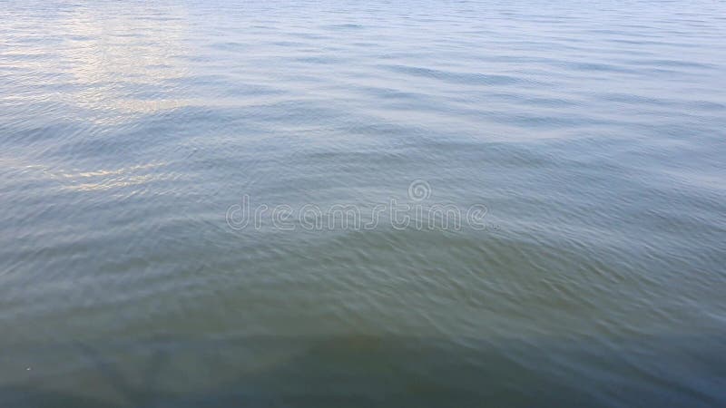 Calm Sea Waves Crashing on the Shore Stock Video - Video of wave ...