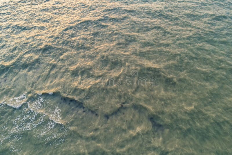 The Surface of the Sea in Shallow Water with Waves and Muddy Water ...
