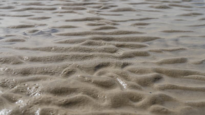 The Surface of the Seabed Exposed at Low Tide. Stock Image - Image of ...