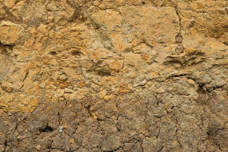 The Surface of the Soil Layer Has Abstract Patterns, Shapes and ...